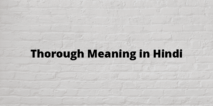 Thorough Meaning In Hindi - हिंदी अर्थ
