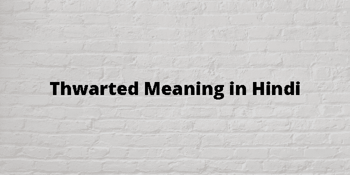 Thwarted Meaning In Hindi - हिंदी अर्थ