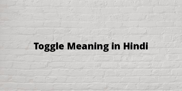 Toggle Meaning In Hindi - हिंदी अर्थ
