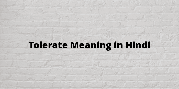 Tolerate Meaning In Hindi - हिंदी अर्थ