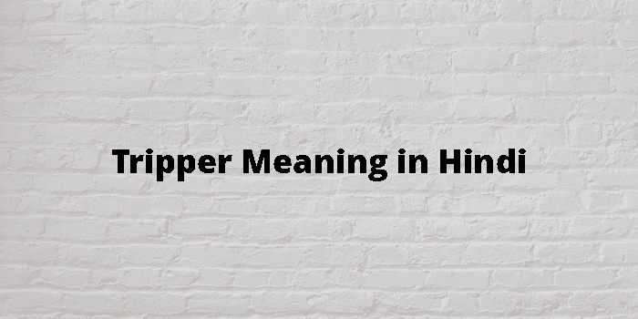 Tripper Meaning In Hindi - हिंदी अर्थ