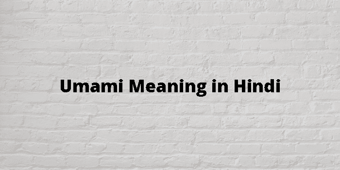 Umami Meaning In Hindi - हिंदी अर्थ