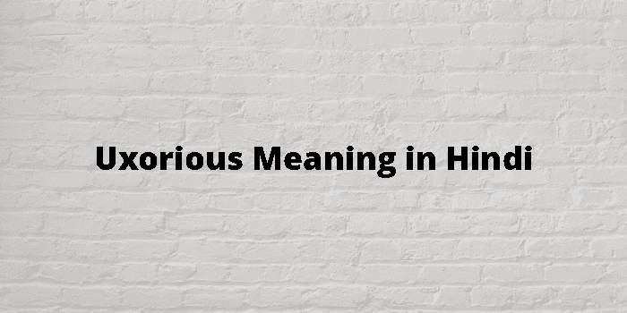 Uxorious Meaning In Hindi - हिंदी अर्थ