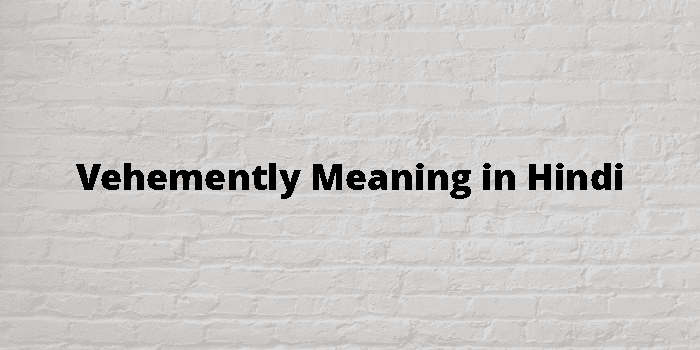 Vehemently Meaning In Hindi - हिंदी अर्थ