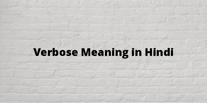 Verbose Meaning In Hindi - हिंदी अर्थ