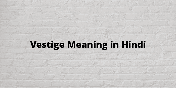 Vestige Meaning In Hindi - हिंदी अर्थ