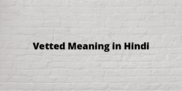 Vetted Meaning In Hindi - हिंदी अर्थ