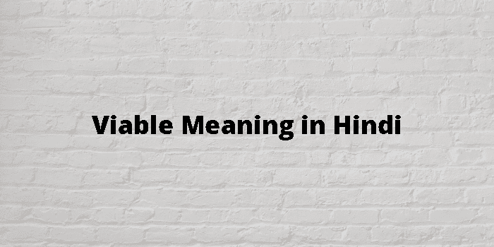 Viable Meaning In Hindi - हिंदी अर्थ