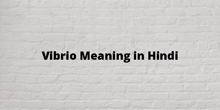 Vibrio Meaning In Hindi - हिंदी अर्थ