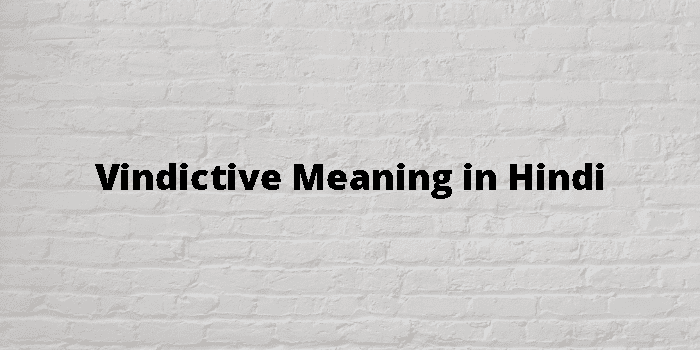 Vindictive Meaning In Hindi - हिंदी अर्थ