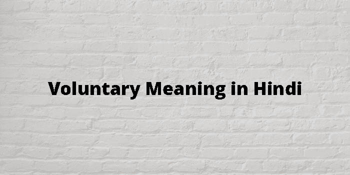 Voluntary Meaning In Hindi - हिंदी अर्थ
