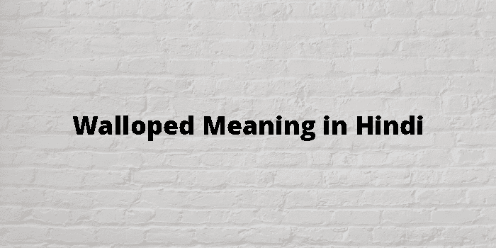 Walloped Meaning In Hindi - हिंदी अर्थ