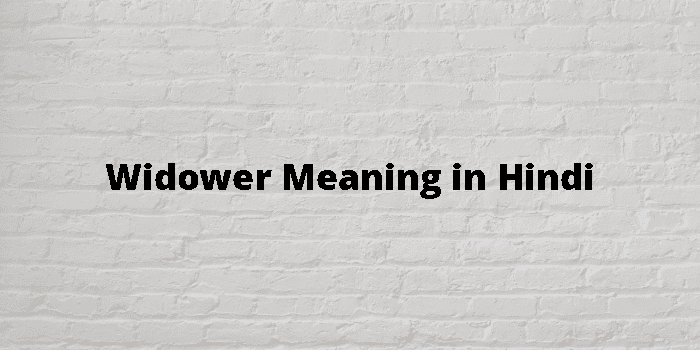 Widower Meaning In Hindi - हिंदी अर्थ