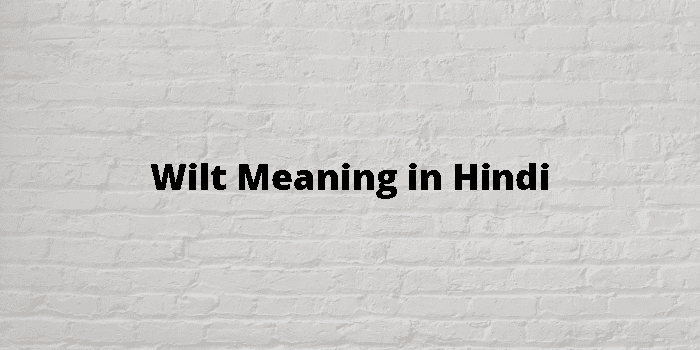 Wilt Meaning In Hindi - हिंदी अर्थ