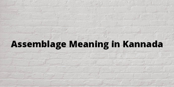 Assemblage Meaning In Kannada - ಕನ್ನಡ ಅರ್ಥ