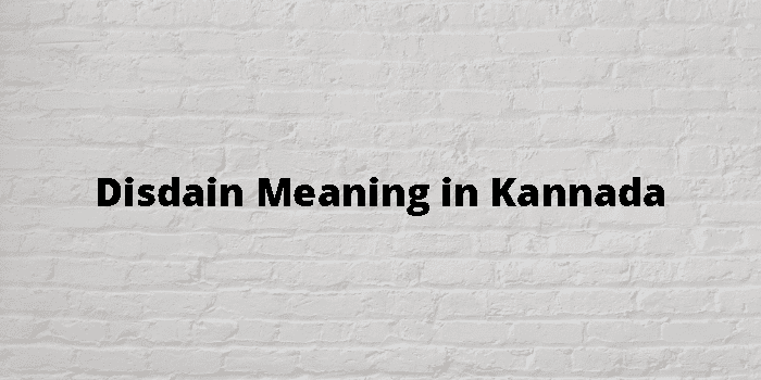Disdain Meaning In Kannada - ಕನ್ನಡ ಅರ್ಥ