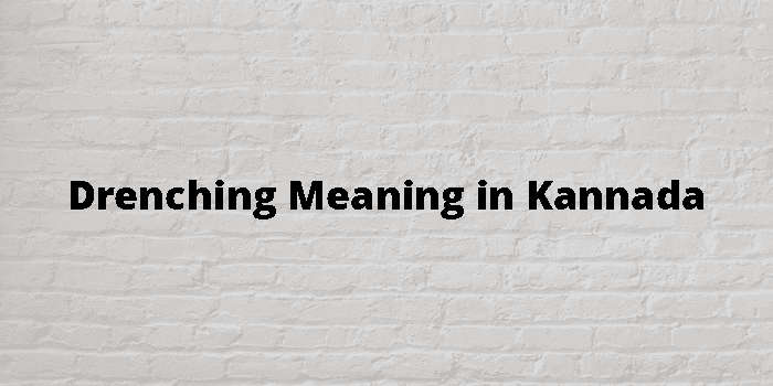 Drenching Meaning In Kannada - ಕನ್ನಡ ಅರ್ಥ