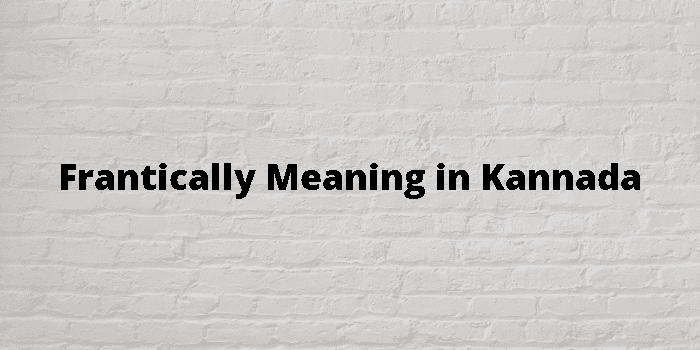 Frantically Meaning In Kannada - ಕನ್ನಡ ಅರ್ಥ