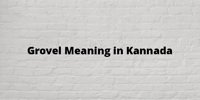 Grovel Meaning In Kannada - ಕನ್ನಡ ಅರ್ಥ