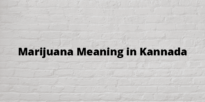 Marijuana Meaning In Kannada - ಕನ್ನಡ ಅರ್ಥ