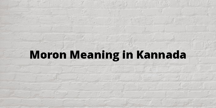 Moron Meaning In Kannada - ಕನ್ನಡ ಅರ್ಥ