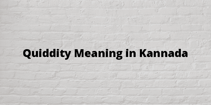 Quiddity Meaning In Kannada - ಕನ್ನಡ ಅರ್ಥ