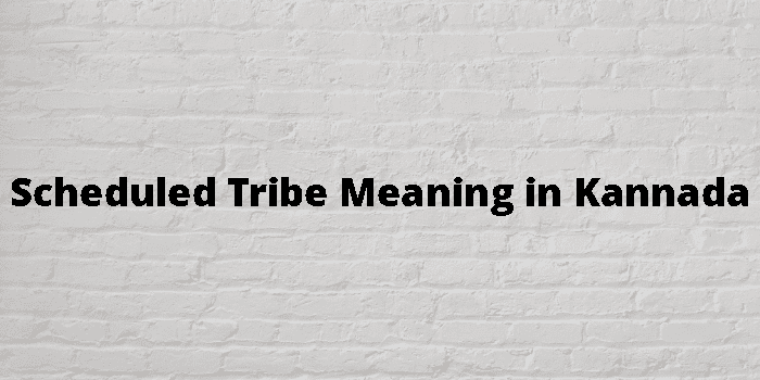 Scheduled Tribe Meaning In Kannada - ಕನ್ನಡ ಅರ್ಥ