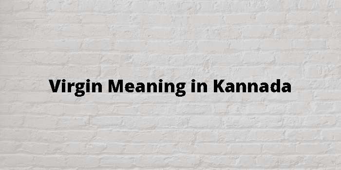 Virgin Meaning In Kannada - ಕನ್ನಡ ಅರ್ಥ