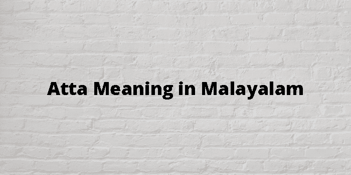 Atta Meaning In Malayalam - മലയാളം അർത്ഥം