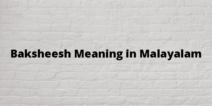 Baksheesh Meaning In Malayalam - മലയാളം അർത്ഥം