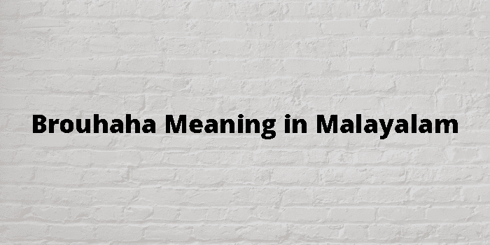 Brouhaha Meaning In Malayalam - മലയാളം അർത്ഥം