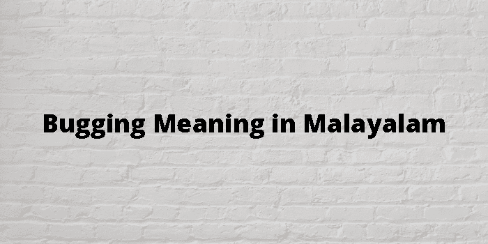 Bugging Meaning In Malayalam - മലയാളം അർത്ഥം