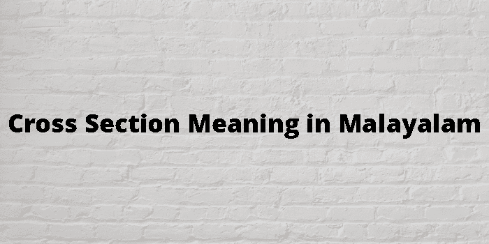 Cross Section Meaning In Malayalam - മലയാളം അർത്ഥം