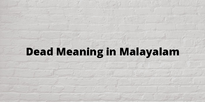 Dead Meaning In Malayalam - മലയാളം അർത്ഥം