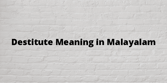 Destitute Meaning In Malayalam - മലയാളം അർത്ഥം