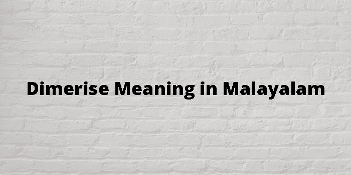 Dimerise Meaning In Malayalam - മലയാളം അർത്ഥം