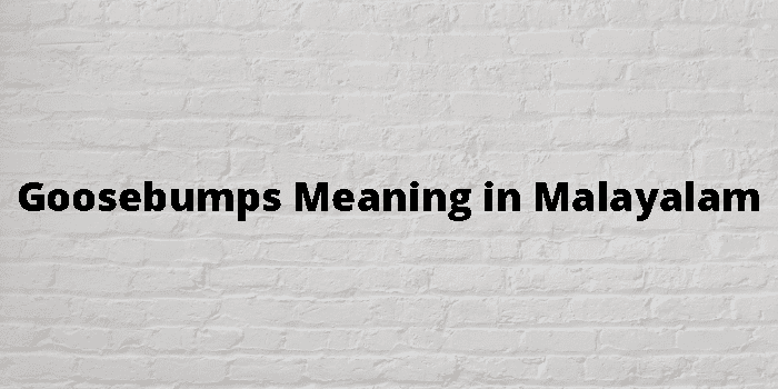 Goosebumps Meaning In Malayalam - മലയാളം അർത്ഥം