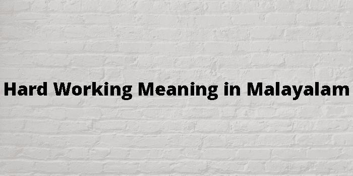 Hard Working Meaning In Malayalam - മലയാളം അർത്ഥം