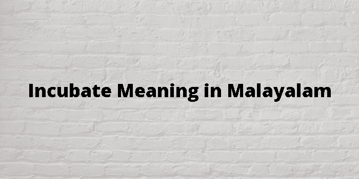 Incubate Meaning In Malayalam - മലയാളം അർത്ഥം