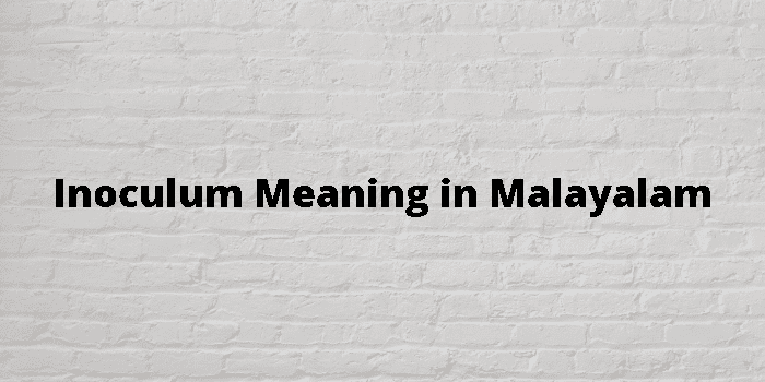Inoculum Meaning In Malayalam - മലയാളം അർത്ഥം