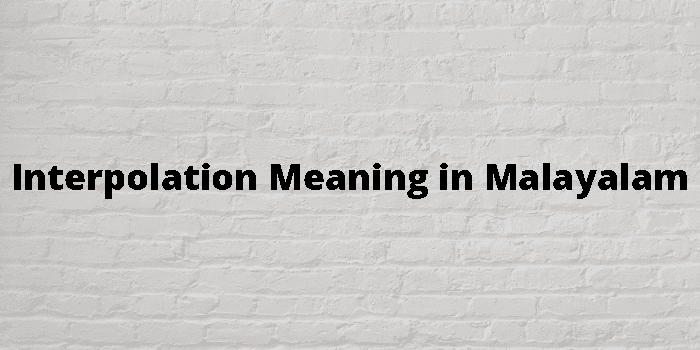 Interpolation Meaning In Malayalam - മലയാളം അർത്ഥം