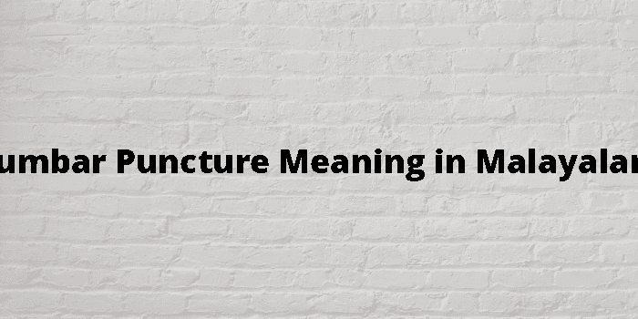 Lumbar Puncture Meaning In Malayalam - മലയാളം അർത്ഥം