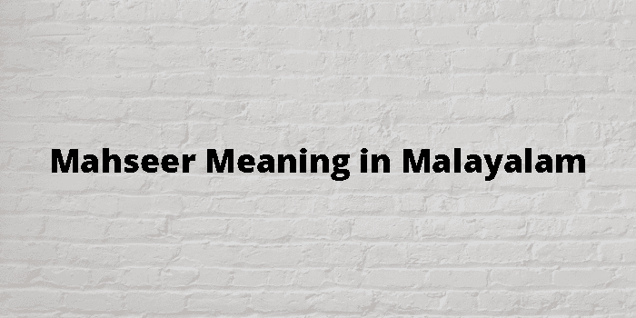 Mahseer Meaning In Malayalam - മലയാളം അർത്ഥം