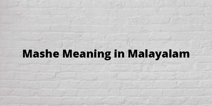 Mashe Meaning In Malayalam - മലയാളം അർത്ഥം