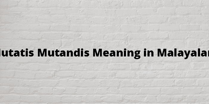 Mutatis Mutandis Meaning In Malayalam - മലയാളം അർത്ഥം
