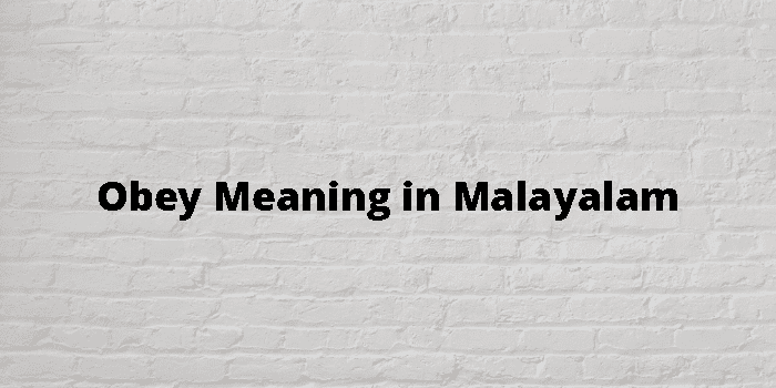 Obey Meaning In Malayalam - മലയാളം അർത്ഥം