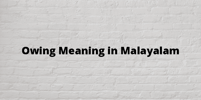 Owing Meaning In Malayalam - മലയാളം അർത്ഥം