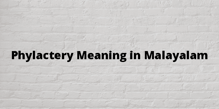 Phylactery Meaning In Malayalam - മലയാളം അർത്ഥം
