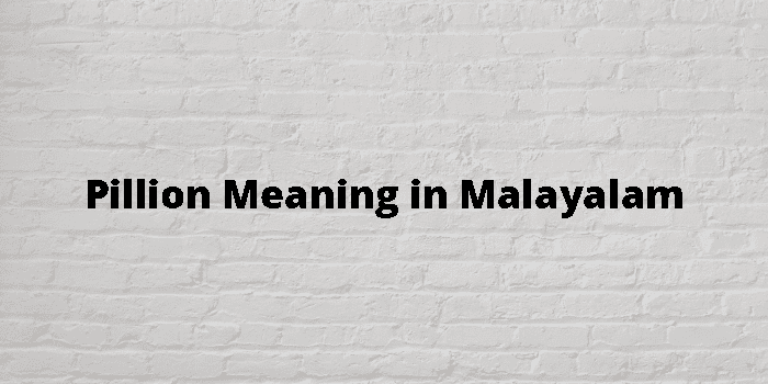 Pillion Meaning In Malayalam - മലയാളം അർത്ഥം
