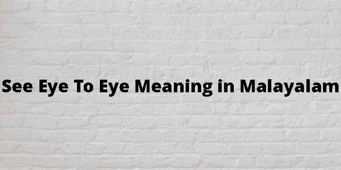 See Eye To Eye Meaning In Malayalam - മലയാളം അർത്ഥം